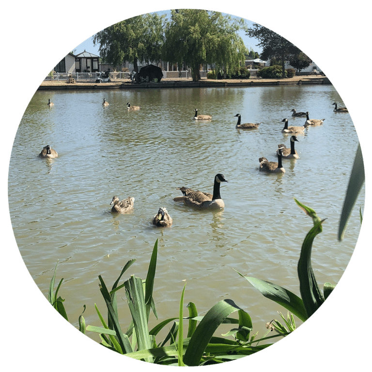 Highfield & The Haven - Caravan Park Skegness